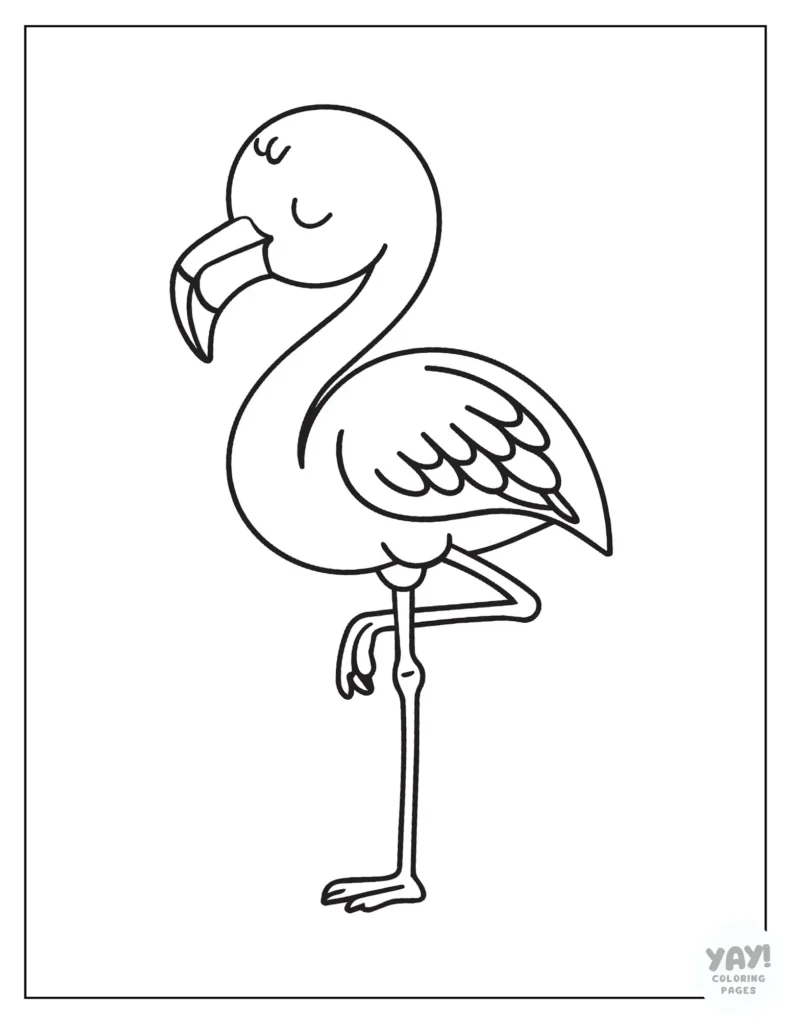 Flamingo Coloring Pages (Free Printables)